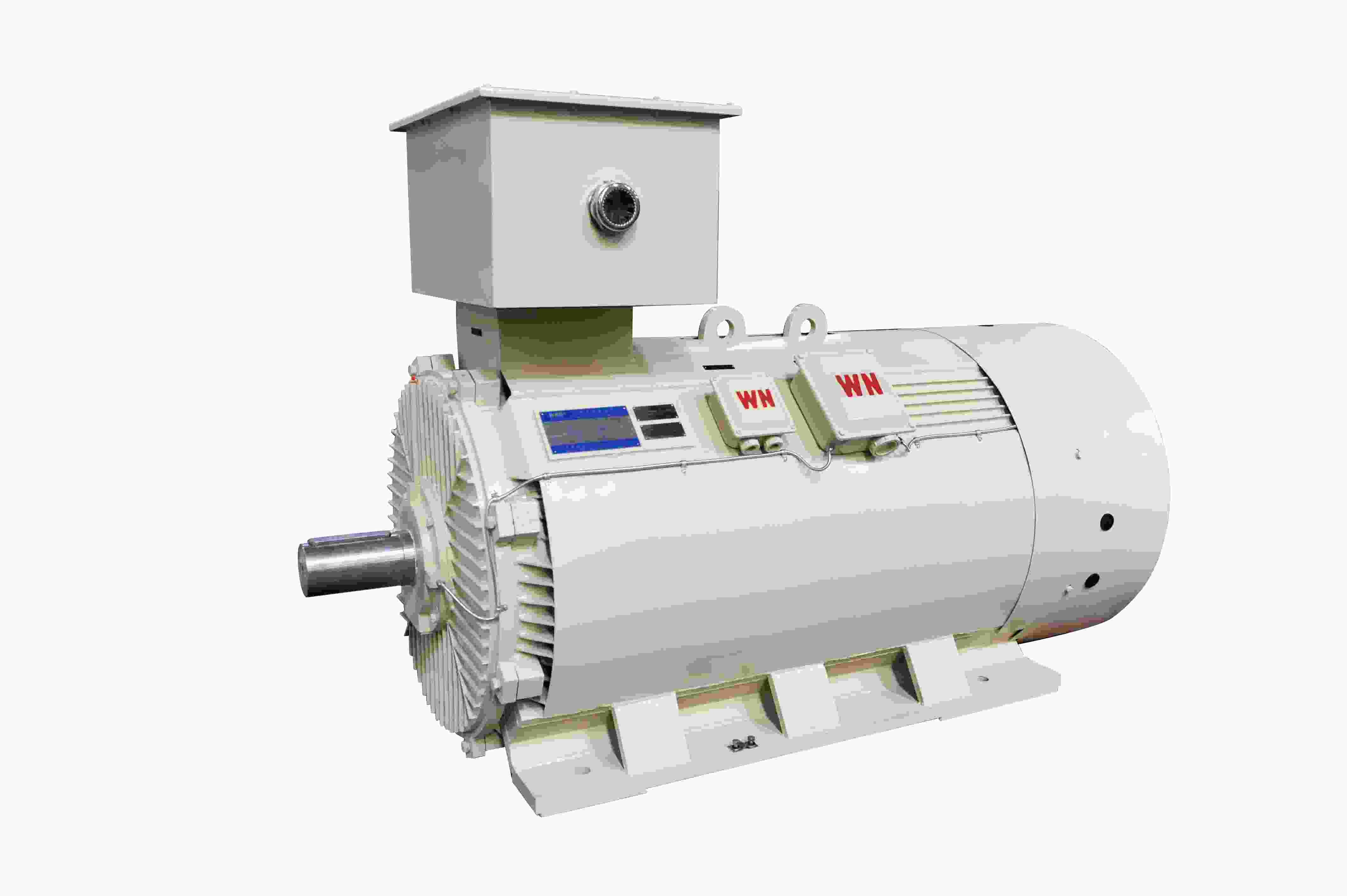 Three Phase High Voltage High Efficiency Electric Motor ROHS