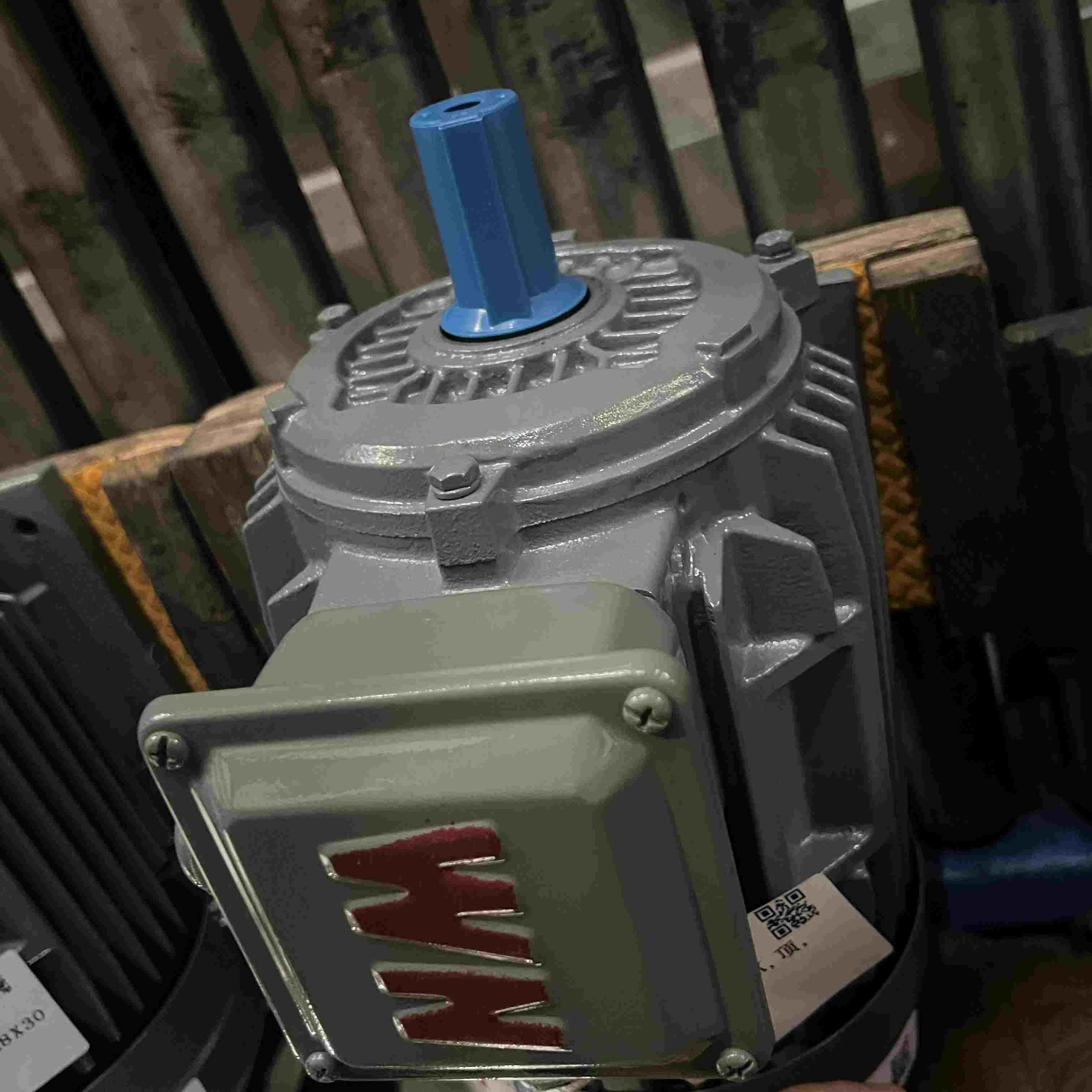 Cast Iron Three Phase Low Voltage Electric Motor with Fixed Frequency