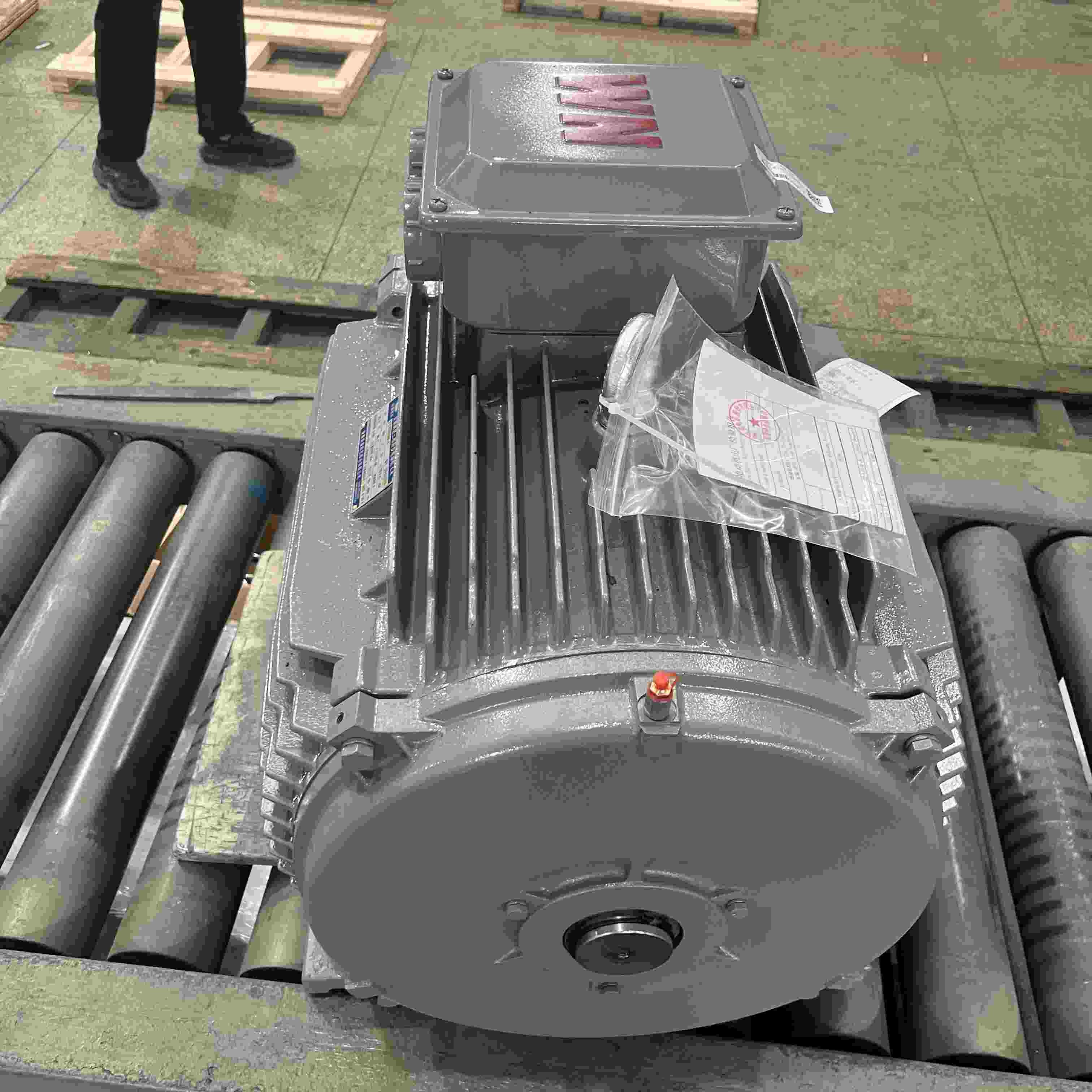 IP65 Three Phase Electric Motors For Pharmaceutical Low Voltage