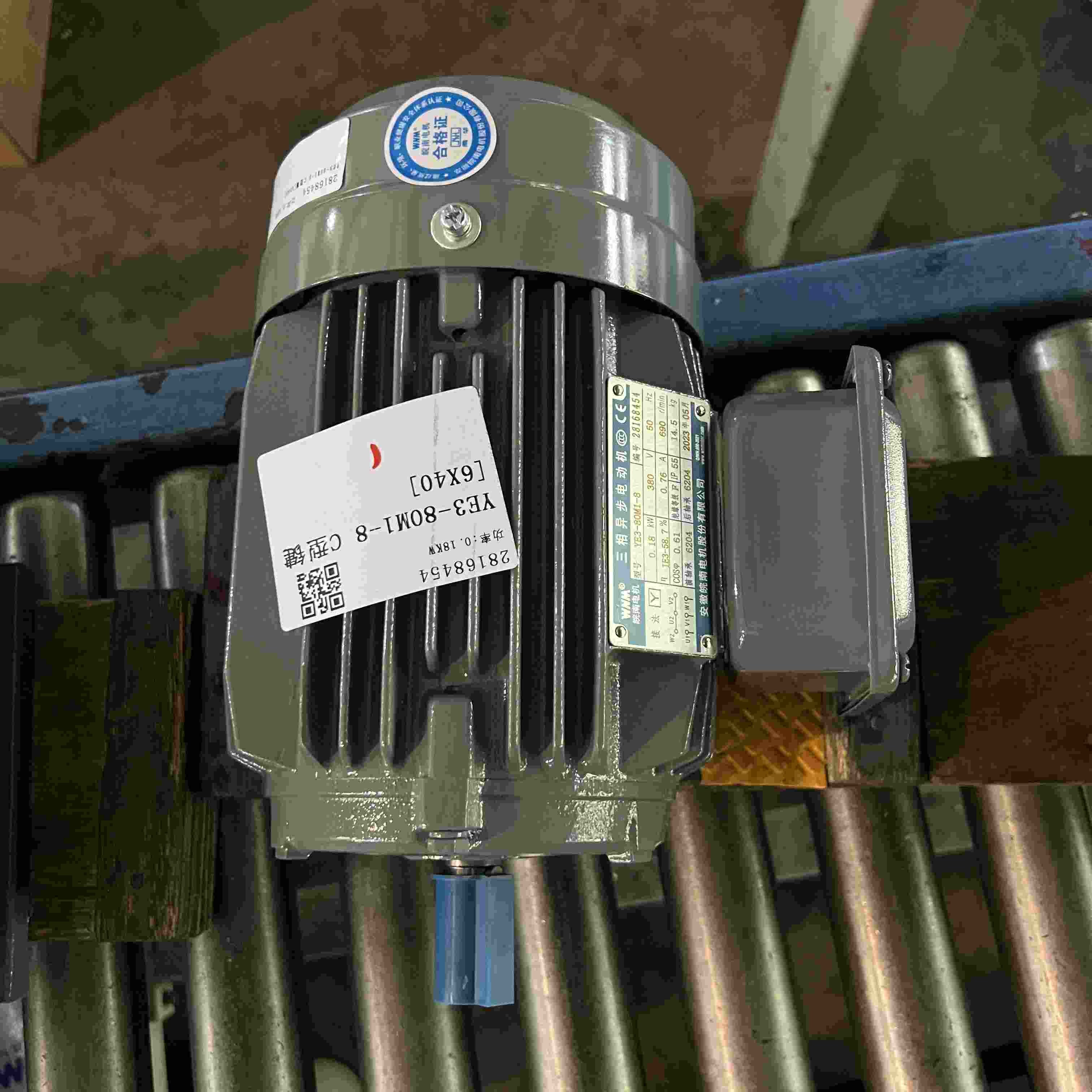 Variable Speed Medium Voltage Induction Motor Three Phase Jis