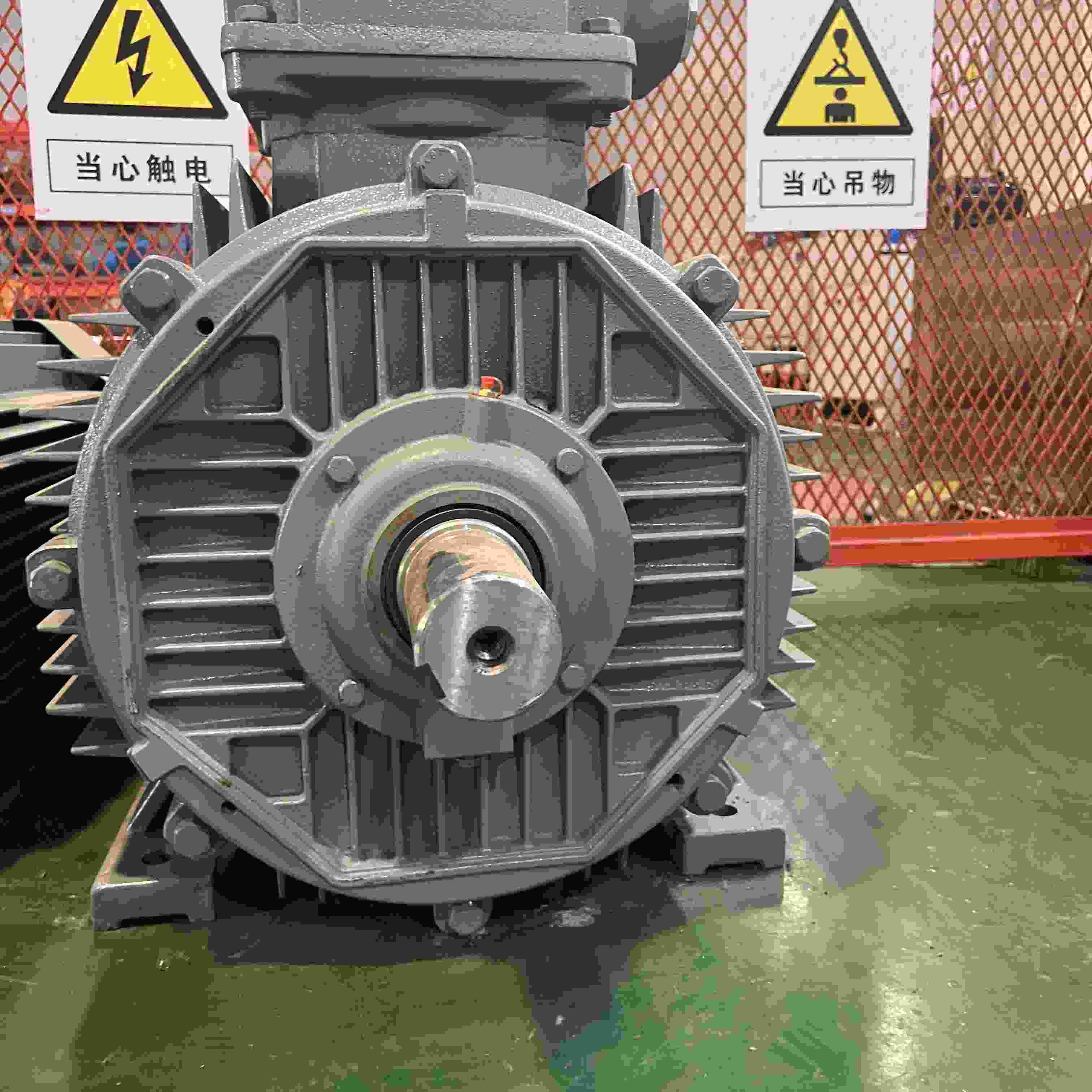 8KV High Voltage Customized Cast Iron Explosion Proof Electric Motors