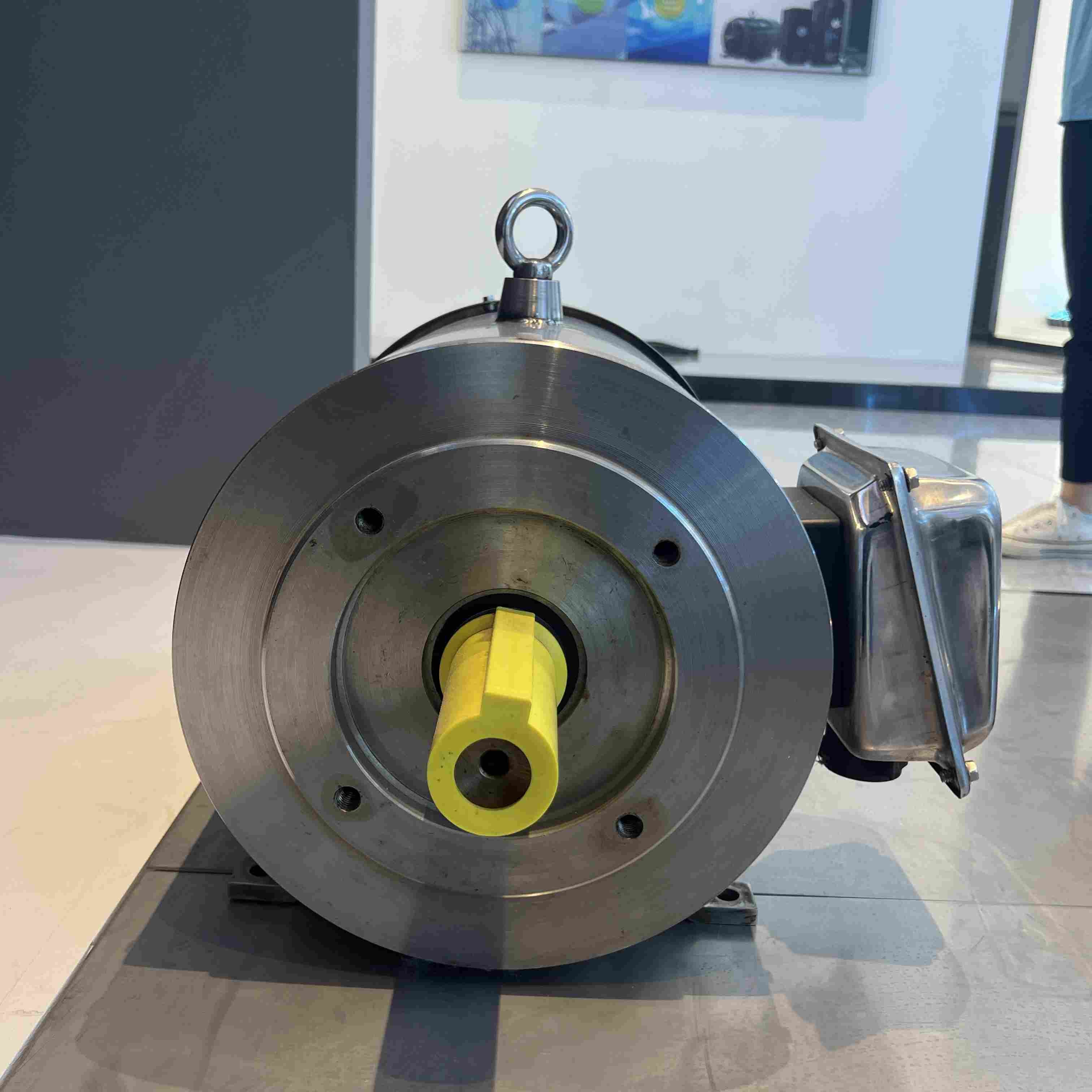 Water Proof Special Electric Motors Three Phase Induction Vertical ...