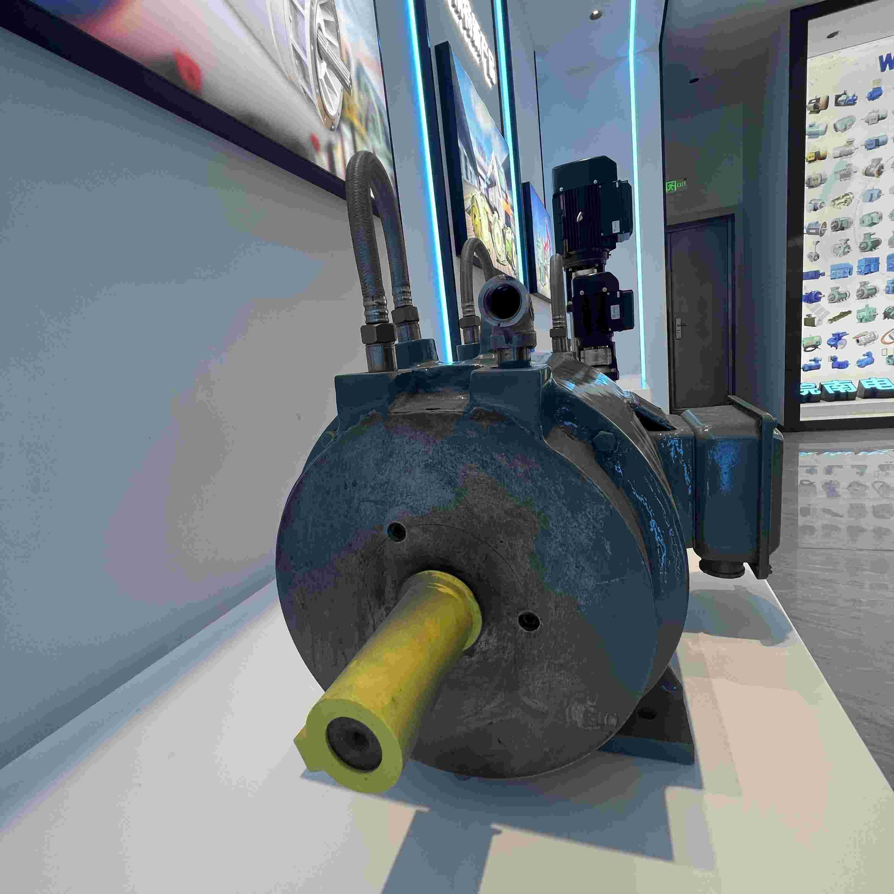 Water Proof Special Electric Motors Three Phase Induction Vertical ...